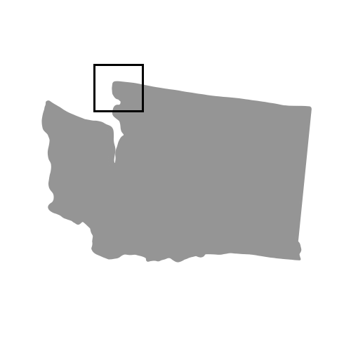 The Point of Washington – Onward American